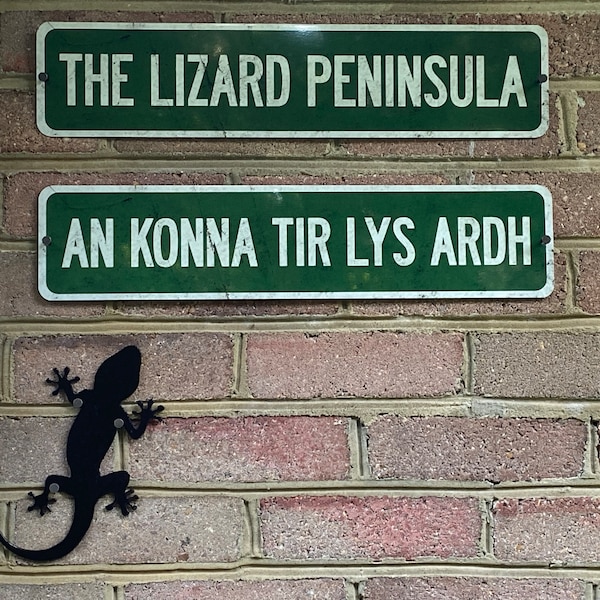 8 Inch Lizard Gecko Rusty Rustic Vintage Antique-y Metal Art Ornament ...