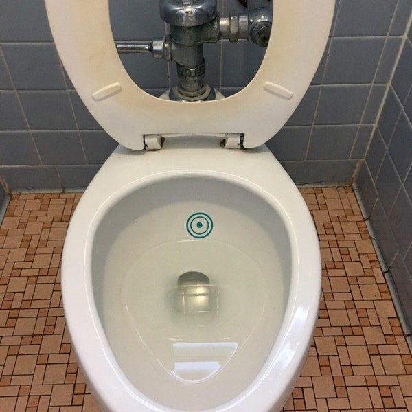 Toilet Target Decal - Toilet Target Sticker for Little Boys - Aim Decal ...