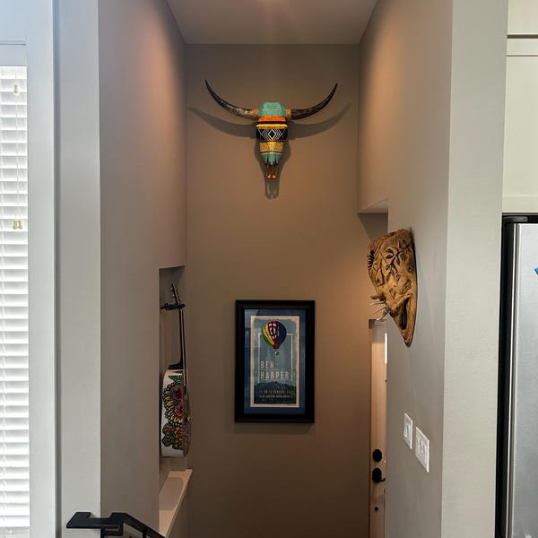 Hand Painted Cow Skull | Wall Art | Home Decor | Taxidermy | Decorated ...