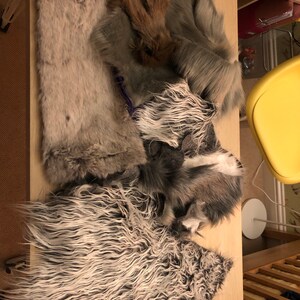 Custom Long Furby - Etsy