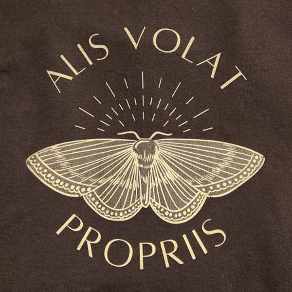 Occupational Therapy Boho Rainbow Tshirt OT Graduation Gift ...