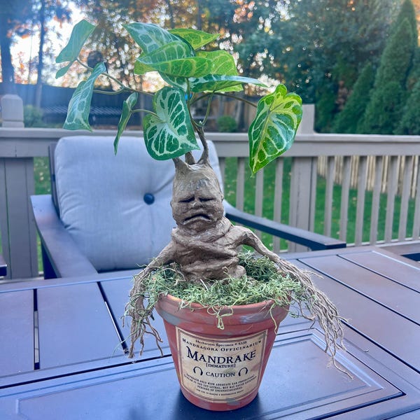 Realistic Mandrake Label, Printable Sticker Prop Potter Herbology - Etsy