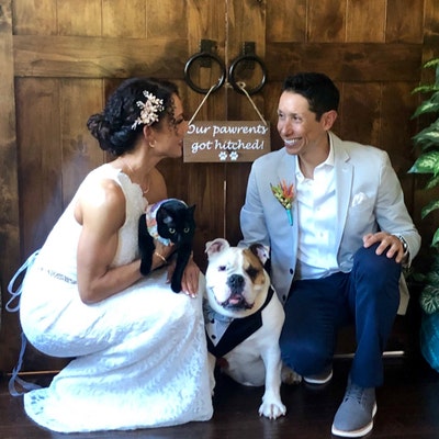 Our Parents Are Getting Married Sign-save the Date-save the Date Dog ...