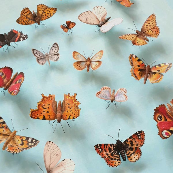 Onionskin Full/half Sheets Onion Paper, 20 X 30 Inches, Himalayan ...