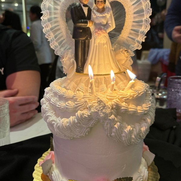 Northern Light Technologies Sadelite 120V 72aserial Number 41551 Table ...