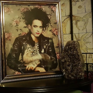 Robert Smith the Cure Portrait Illustration Art Print Fan Art Persian ...