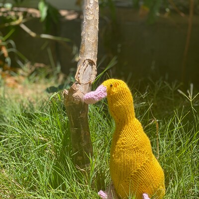 Darling Duck KNITTING PATTERN - Etsy