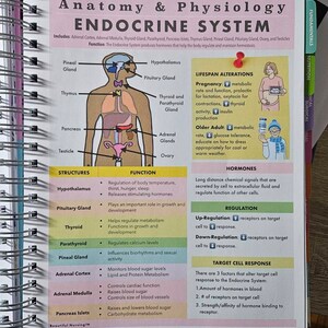 Beautiful Nursing LLC – BeautifulNursing