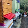 Beehive Rain and Snow Visor | Awning for Beehive | Snow and Rain ...