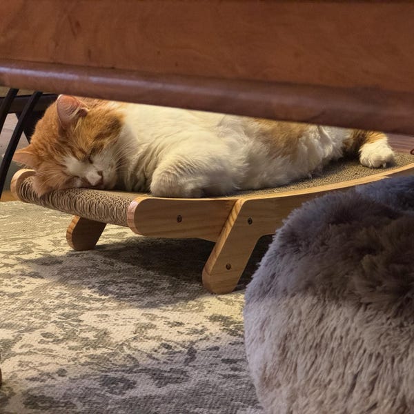 Cat Scratching Post With Recycled Cardboard Inserts - Adjustable ...