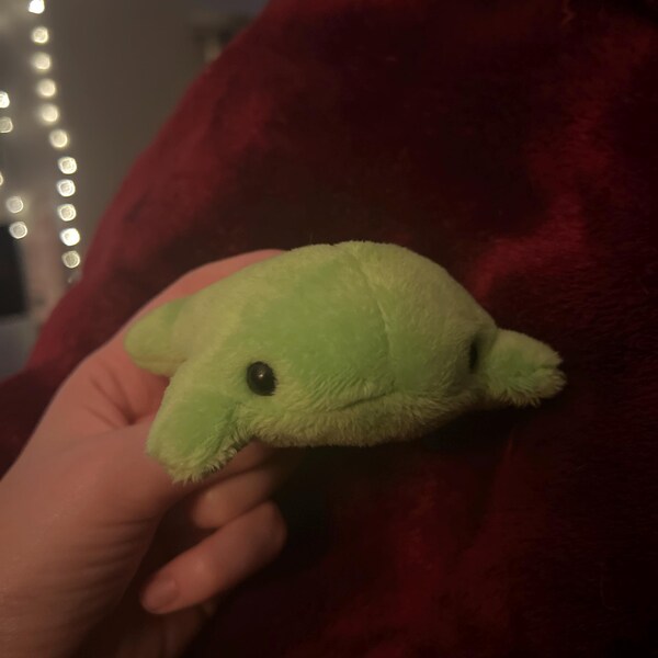 Sky Blue Baby Blue Baby Bean Frog. Baby Bean Froggy Friend. Stress ...