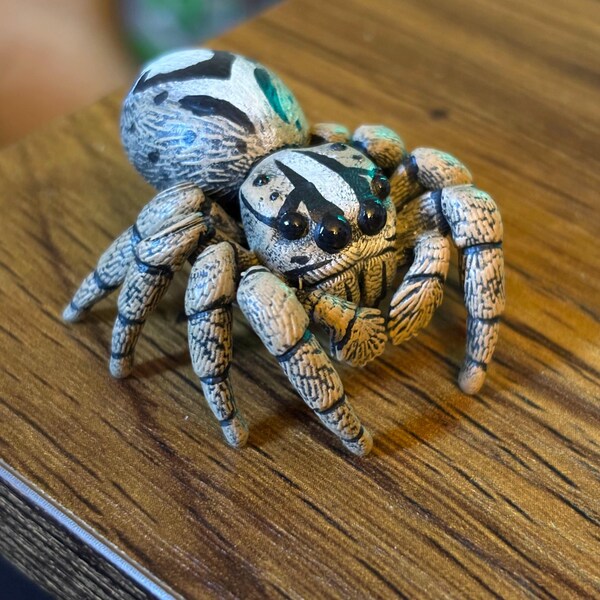 Mini Spooder Baby Jumping Spider Figure Iridescent Markings Tiny Hand ...