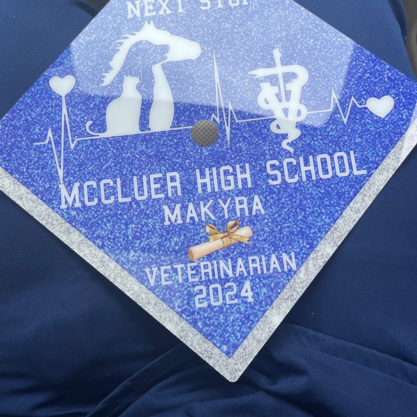 Personalized Veterinarian Graduation Cap Topper, Custom Vet Tech Grad ...