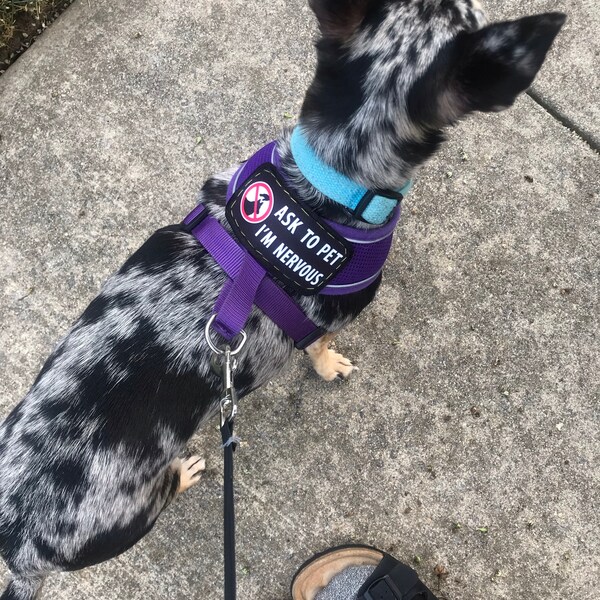 Nervous Dog Patch | Ask to Pet Patch | Dog Vest Patches | Custom Dog ...