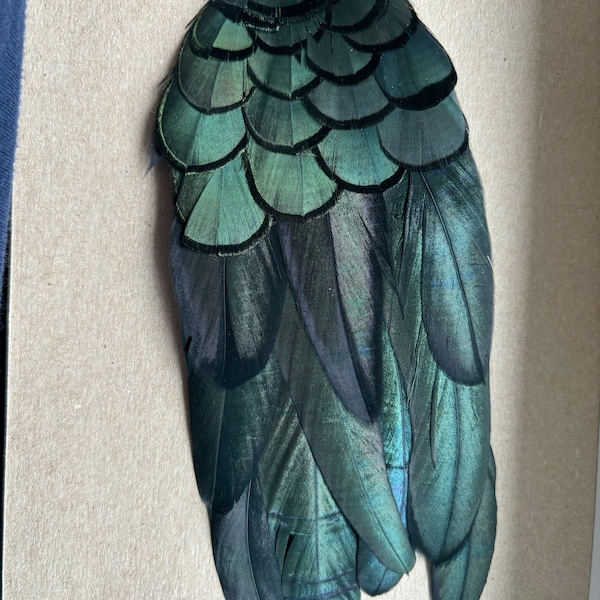 Blue and Teal Duck Feather Lapel Pin | Duck Feather Boutonniere ...