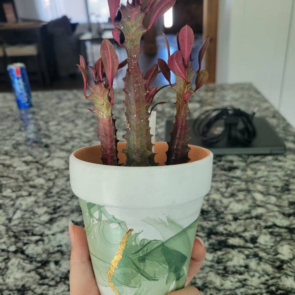 Printable Bangla Alphabet 50 Worksheets || Homeschooling Bangla ...