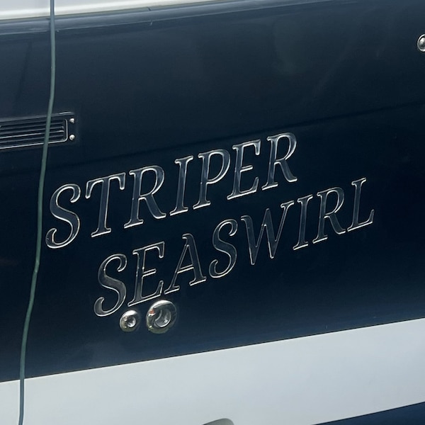 Custom Boat Decals Pontoon Name Raised Domed - Etsy
