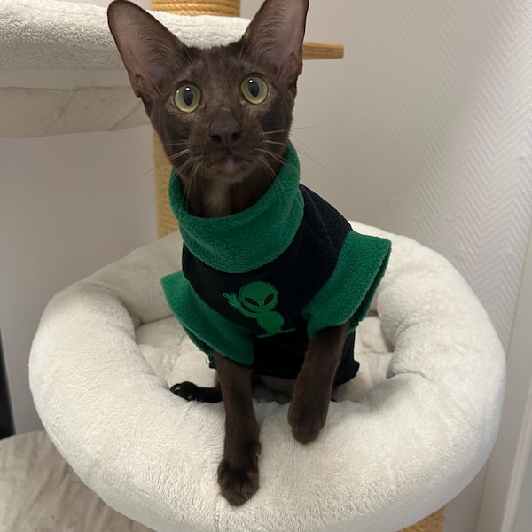 Sizes COMIC Cat Clothes for a Sphynx Cat, Sphynx Cat Clothes, Pet ...