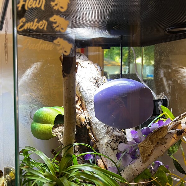 Rat Dress for Rat Crochet Dress for Pet Rat Sweater for Fancy Rat ...