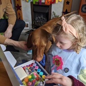 All About My Pet, Digital Download Printable PDF, Activity Sheets for ...