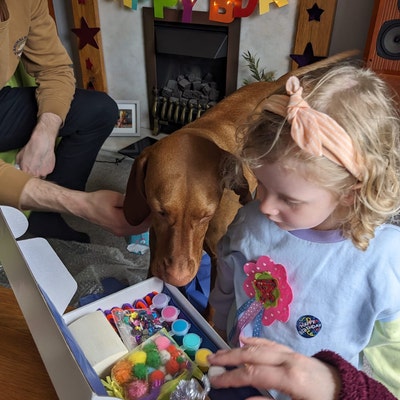 All About My Pet, Digital Download Printable PDF, Activity Sheets for ...