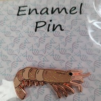 Pi Symbol Hard Enamel Pin - Etsy