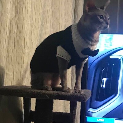 Hand Knit Slippers, Crochet Tank Slippers, Adult Crochet Slippers, Gift ...