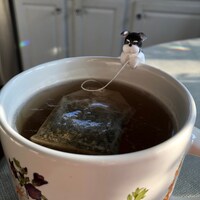 Tabby Cat Tea Bag Holder B Cute Cat Tea Pot Teabag Holder Sipping Cup ...