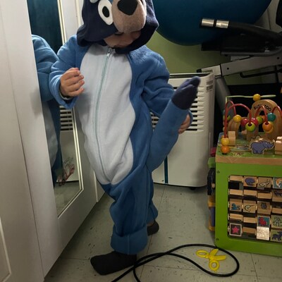 Light Fury Costume/ Light Fury Onesie/ Dragon Kigurumi/ Dragon Cosplay ...