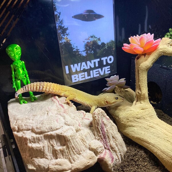 Retro Sci Fi Art, I Want to Believe X Files, Science Poster, Retro ...