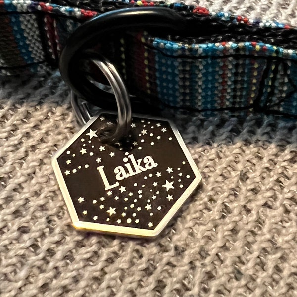 Luna Dog Tag, Pet ID Tag, Personalized Dog Tag, Microchip Pet Tag ...