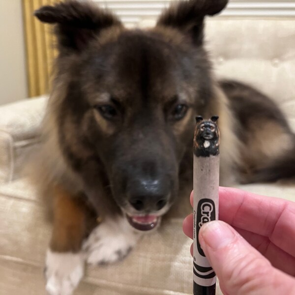 Poop Emoji Crayon Carving - Etsy