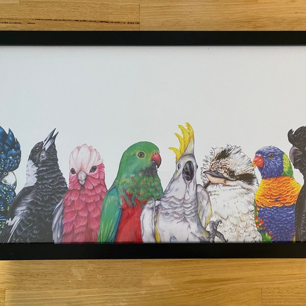 Australian Native Seed Pod Poster DIGITAL DOWNLOAD - Etsy