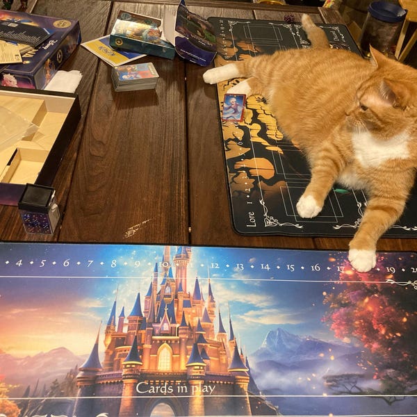 MTG Playmat | 24x14 Inch | the Round Table | Optional Zoning | TCG Play ...