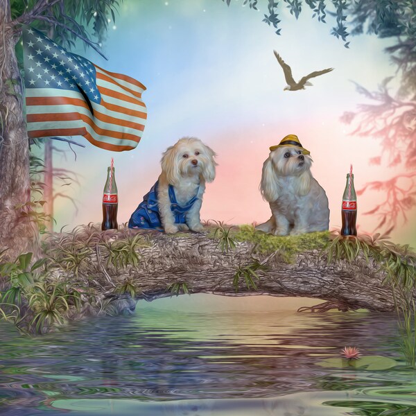 Fairy Wings Overlays, Photoshop Overlays. Magic Digital Wings , Sparkly ...