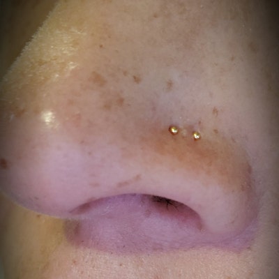 Micro Ball Nose Stud Gold Ball Nose Stud Gold Nose Ring 22 Gauge Ball ...