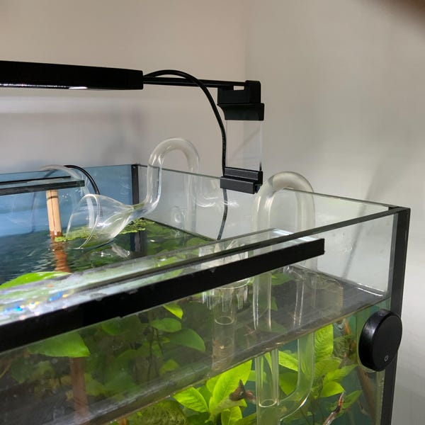 Aquarium Water Change Diffuser - Interchangeable Flow Rates - Etsy