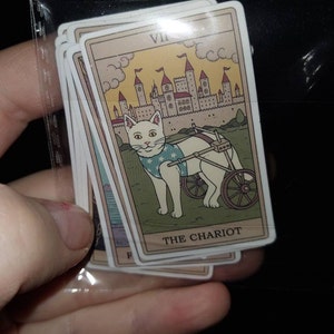 Cat Tarot Card Themed Stickers for Laptops, Skateboards, Phones ...