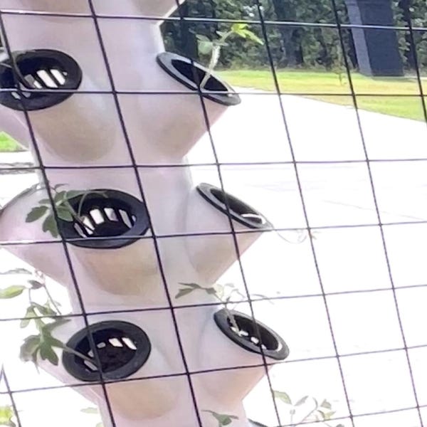 10-plant Hydroponic Tower: Complete Growing Setup for 10 Cups. PETG ...