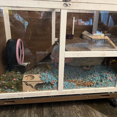 Hamster Tunnel/ Hamster Cave Hideout/ Chamber Rooms/ Hamster Digging ...
