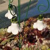 Bell Flower/ Ceramic Bell Flower / Handmade Ceramic Flower - Etsy