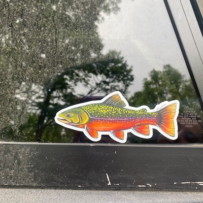 Rainbow Trout Sticker Decal 20% Flows to Western Rivers - Etsy