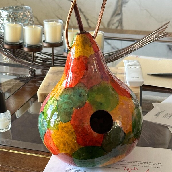 Gourd Birdhouses Special 5 Stained Handmade - Etsy