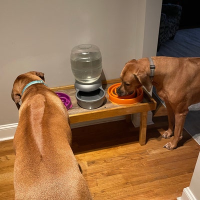 Medium Standard or Double Custom Made Pet Feeding Tables. Elevated Cat ...