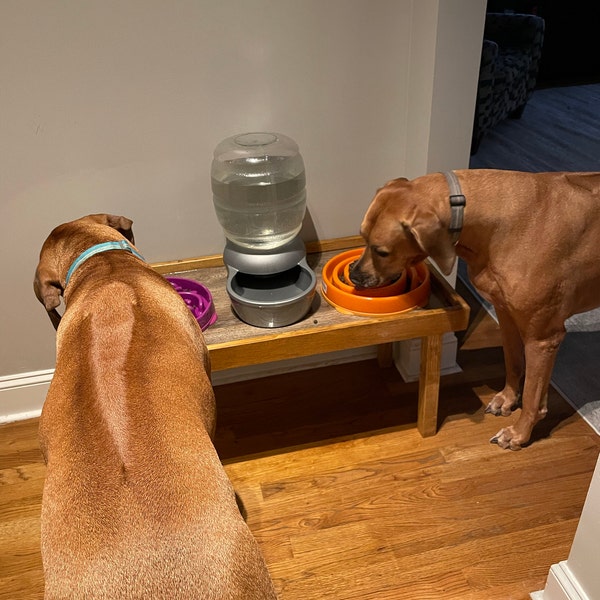 Large Standard or Double Custom Made Pet Feeding Tables, Elevated Cat ...