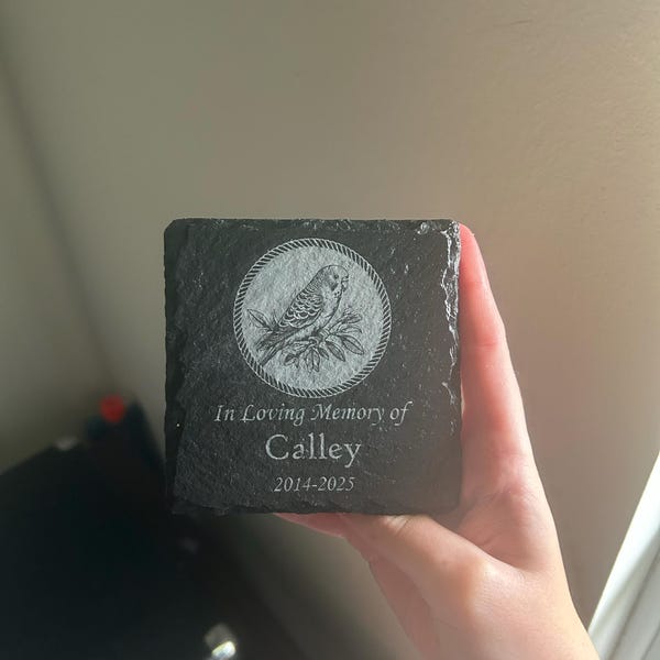 Milkweed for Monarchs Sign | Butterfly Pollinators Welcome Sign for ...