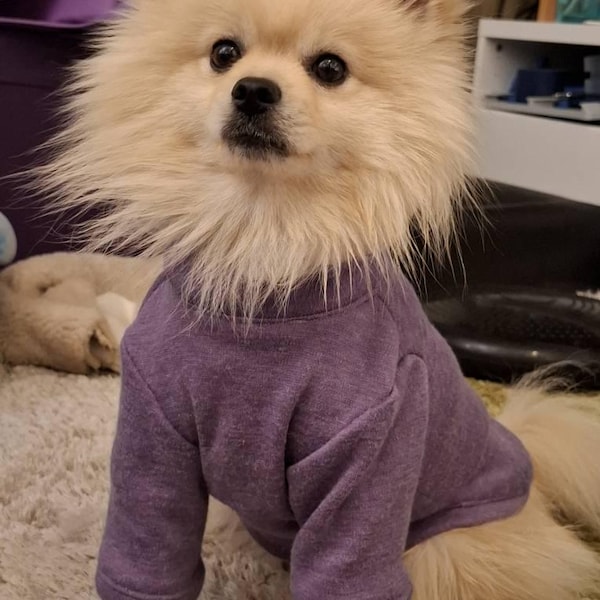 Cat Cave Sewing Pattern | Cozy Cat Bed DIY | Easy and Beginner Friendly ...