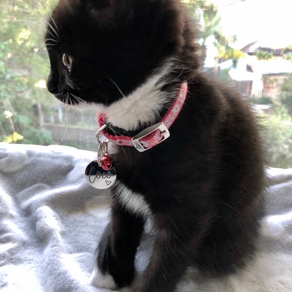Cat Tag ID Tag Custom Cat Tag Personalized Cat Tag Cat Name Tag Cat ...