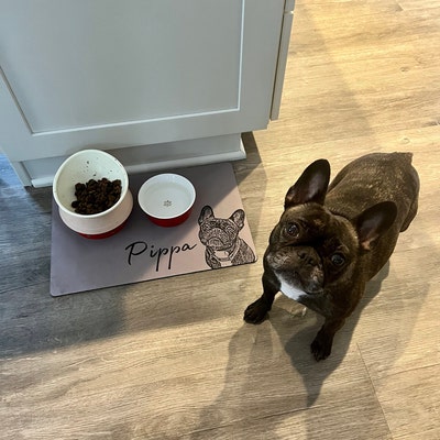 Personalized Dog Mats Using Pet Photo Name Personalized Dog Food Mat ...