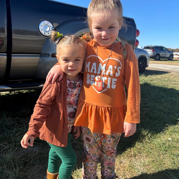 Heart Bows,hair Bows, Fable Bow, Fabric Bow, Fable Bows for Girls, Bows ...